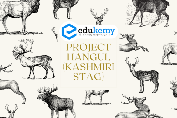Project Hangul (Kashmiri Stag) - UPSC Environment Notes