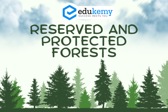 Tropical Rainforest Biome - UPSC Environment Notes