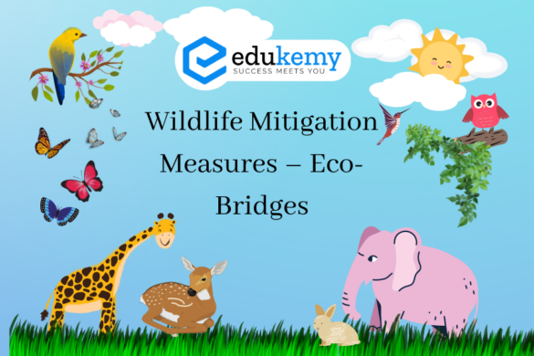 Ecosystem vs Environment vs Ecology - UPSC Environment Notes
