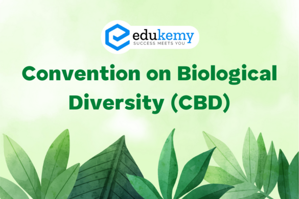 Desert Ecosystem/Biome - UPSC Environment Notes