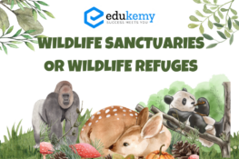 Bombay Natural History Society (BNHS) - UPSC Environment