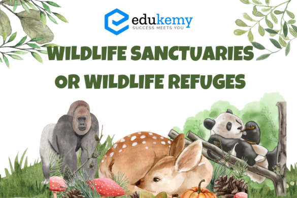 Project Hangul (Kashmiri Stag) - UPSC Environment Notes