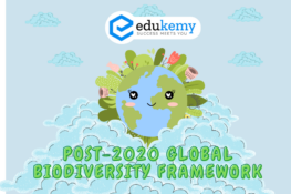 Ecological Pyramid, Types, and Limitations