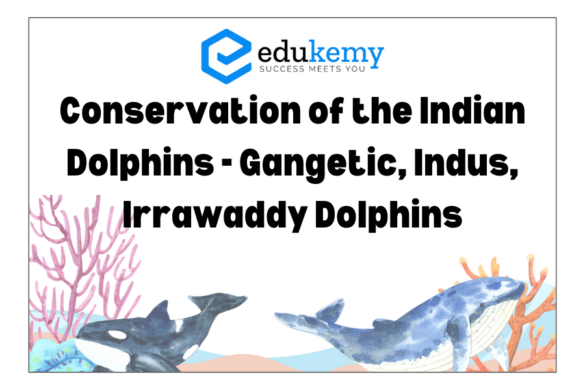 Conservation of the Indian Dolphins - Gangetic, Indus