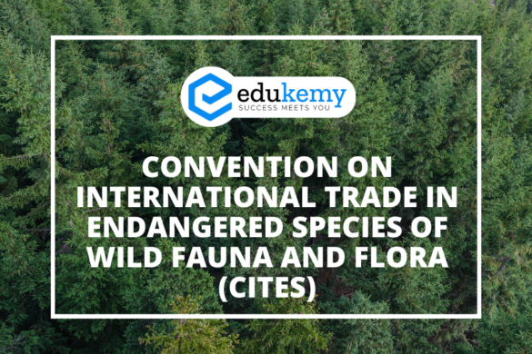 Ecosystem vs Environment vs Ecology - UPSC Environment Notes