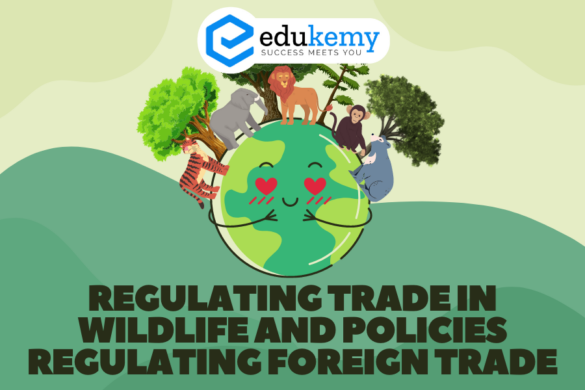 Ecological Pyramid, Types, and Limitations