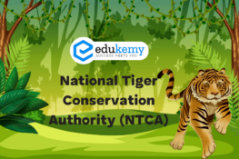 Intended Nationally Determined Contributions (INDC)