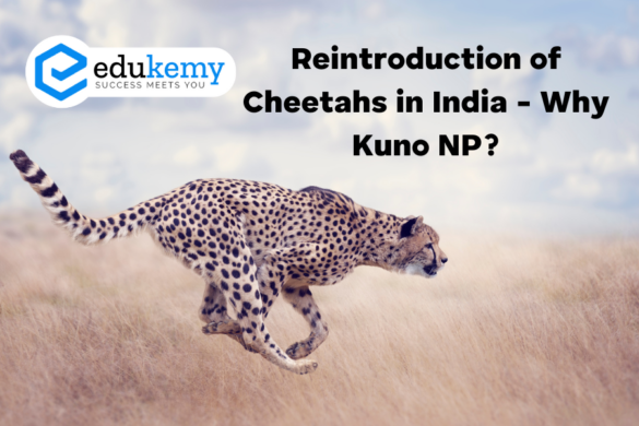 Project Hangul (Kashmiri Stag) - UPSC Environment Notes