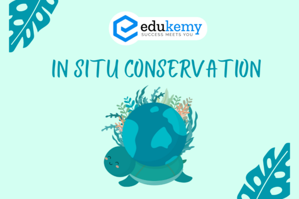 National Solar Mission (JNNSM) - UPSC Environment Notes