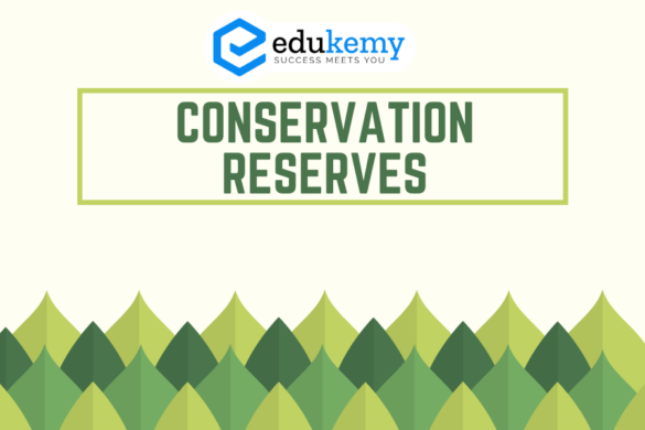 Desert Ecosystem/Biome - UPSC Environment Notes
