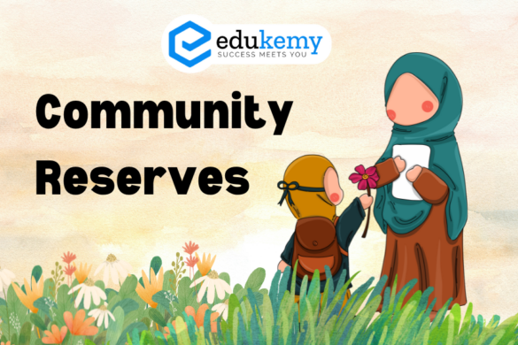 Intended Nationally Determined Contributions (INDC)