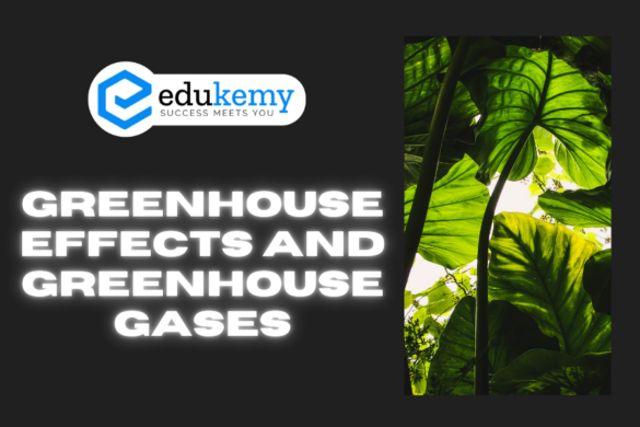 Ecosystem vs Environment vs Ecology - UPSC Environment Notes