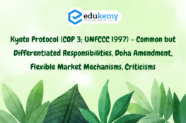 Ecological Pyramid, Types, and Limitations