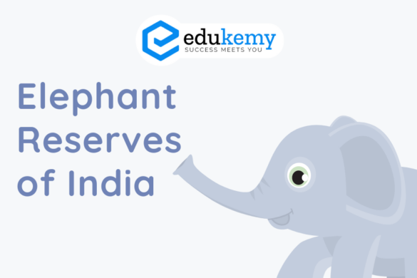 Project Hangul (Kashmiri Stag) - UPSC Environment Notes