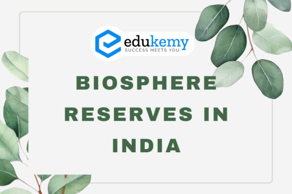 Climate Neutral Now - UPSC Environment Notes