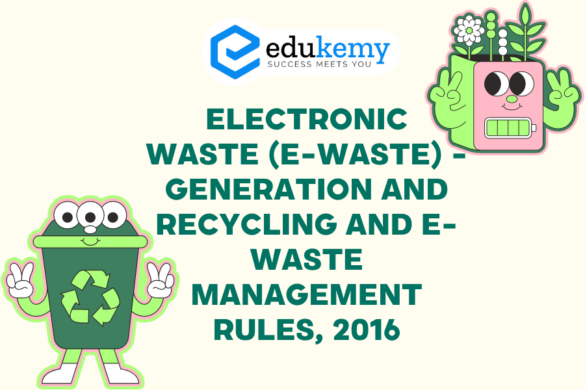 Ecological Pyramid, Types, and Limitations