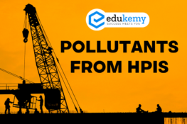 Ecological Pyramid, Types, and Limitations