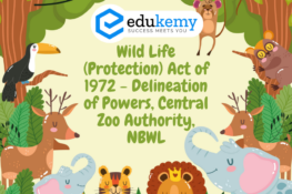 Ecological Pyramid, Types, and Limitations