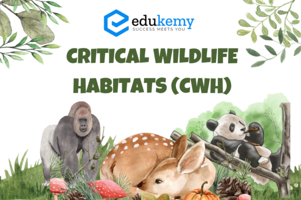 Eco-Sensitive Zones (ESZs) - UPSC Environment Notes