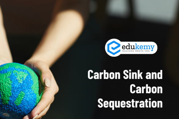 Desert Ecosystem/Biome - UPSC Environment Notes