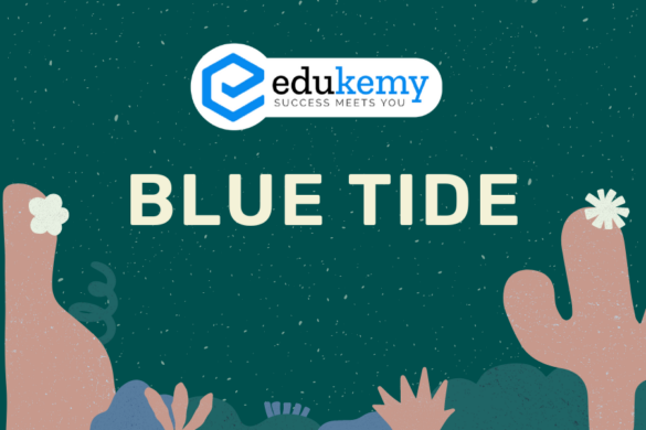 The History of SDGs - Brundtland Commission, UNCED