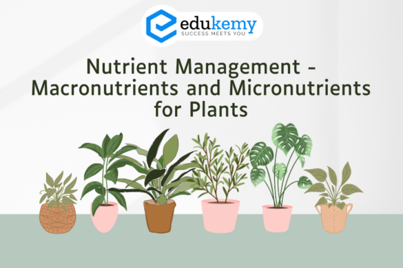 Species Types - UPSC Environment Notes