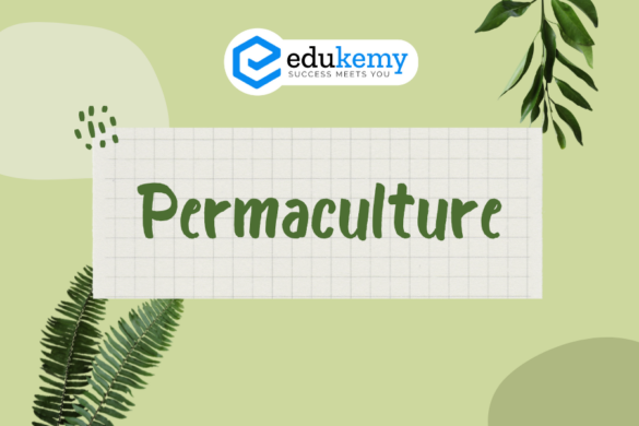 Temperate Rainforest Biome - UPSC Environment Notes