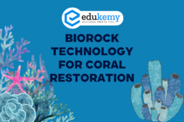 Biorock Technology for Coral Restoration