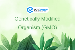 National Wildlife Action Plan (NWAP) 2017-2031