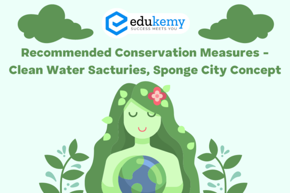 Ecological Pyramid, Types, and Limitations