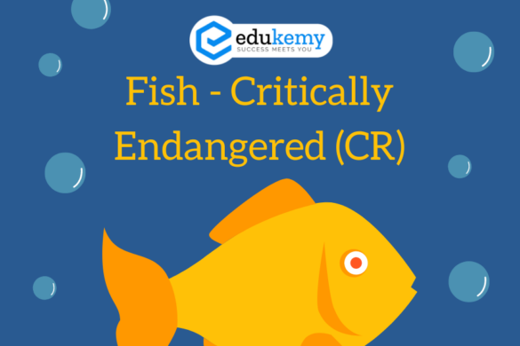 Project Hangul (Kashmiri Stag) - UPSC Environment Notes