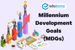 NIMZ (National Investment and Manufacturing Zone)