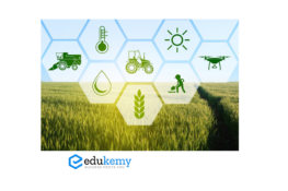 Government Schemes for Rural Development in India- UPSC Social Justice ...