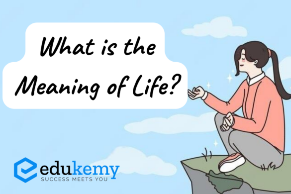 What is the Meaning of Life?