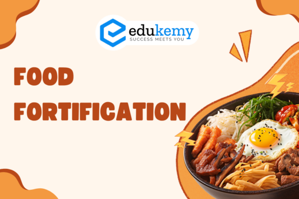 Challenges in Rural Development in India- UPSC Social Justice Notes - Blog