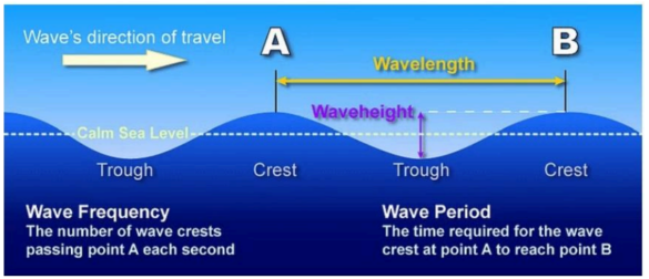 How are ocean waves formed? Distinguish between a wave