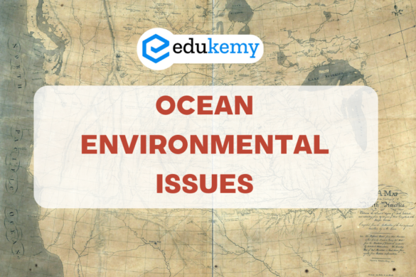 Critical Ocean Environmental Issues You Need to Know - Blog