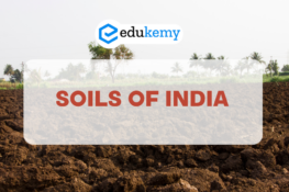 Unlocking Areal Differentiation:The Heart of Human Geography